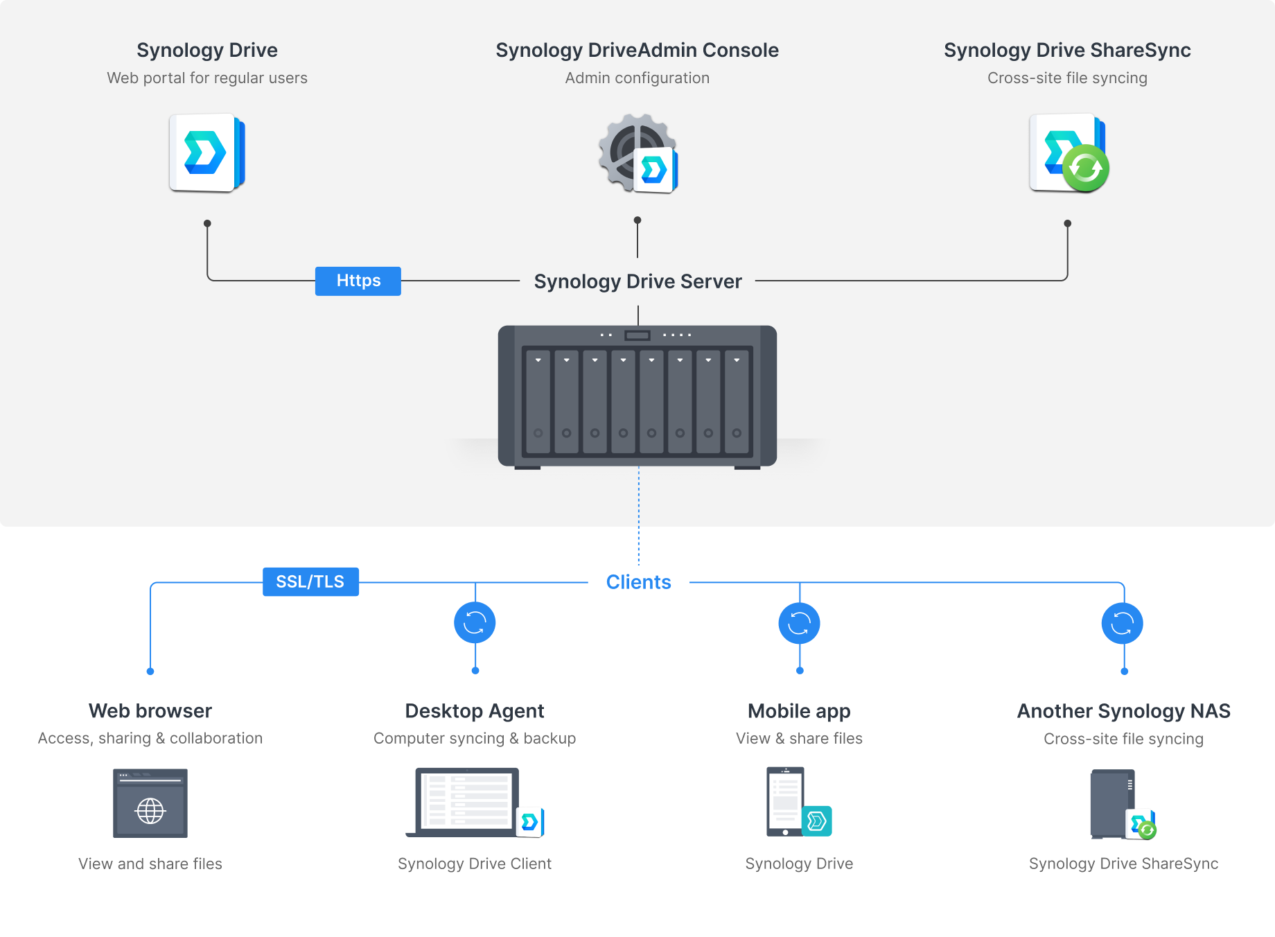 Synology Drive Quick Start Guide for administrators - Synology ...